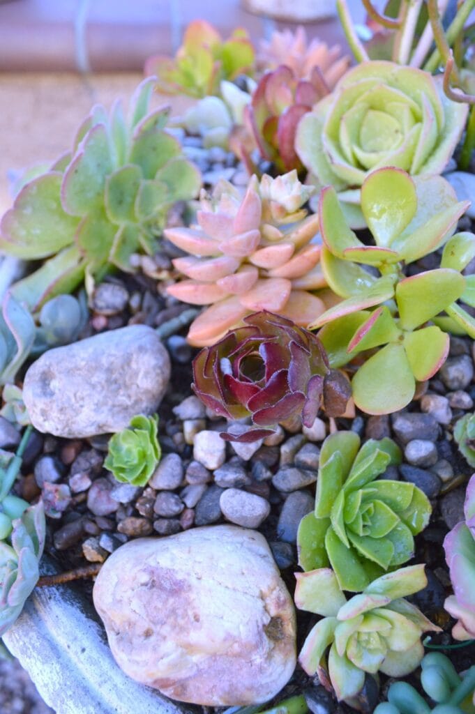 Quick And Easy Outdoor DIY Projects To Inspire You