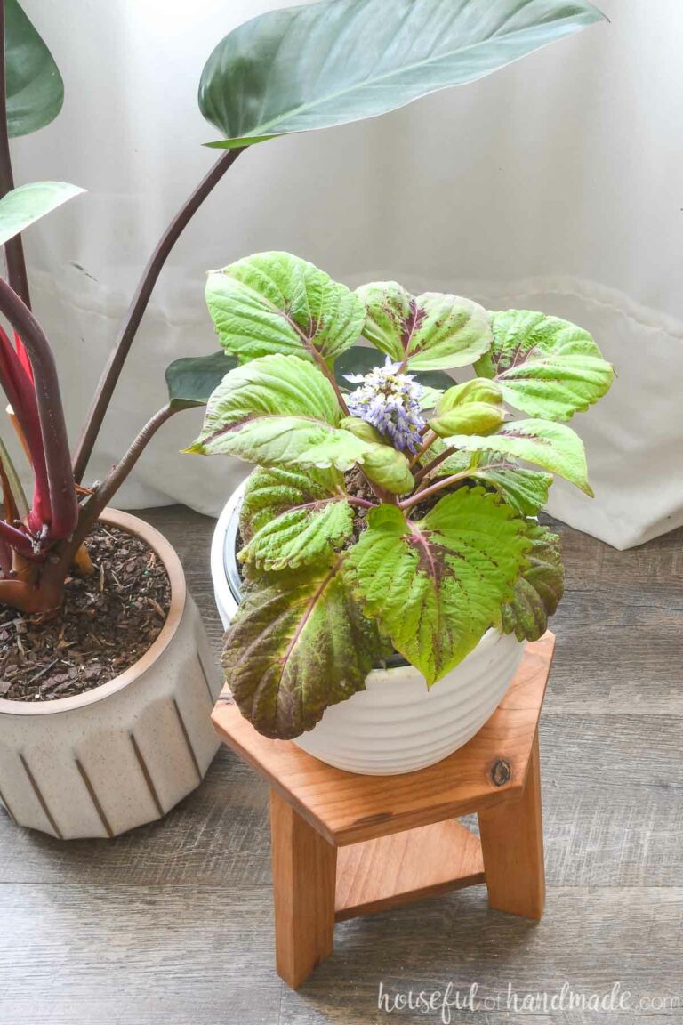 Charming Plant Stool from Scrap Wood - Houseful of Handmade